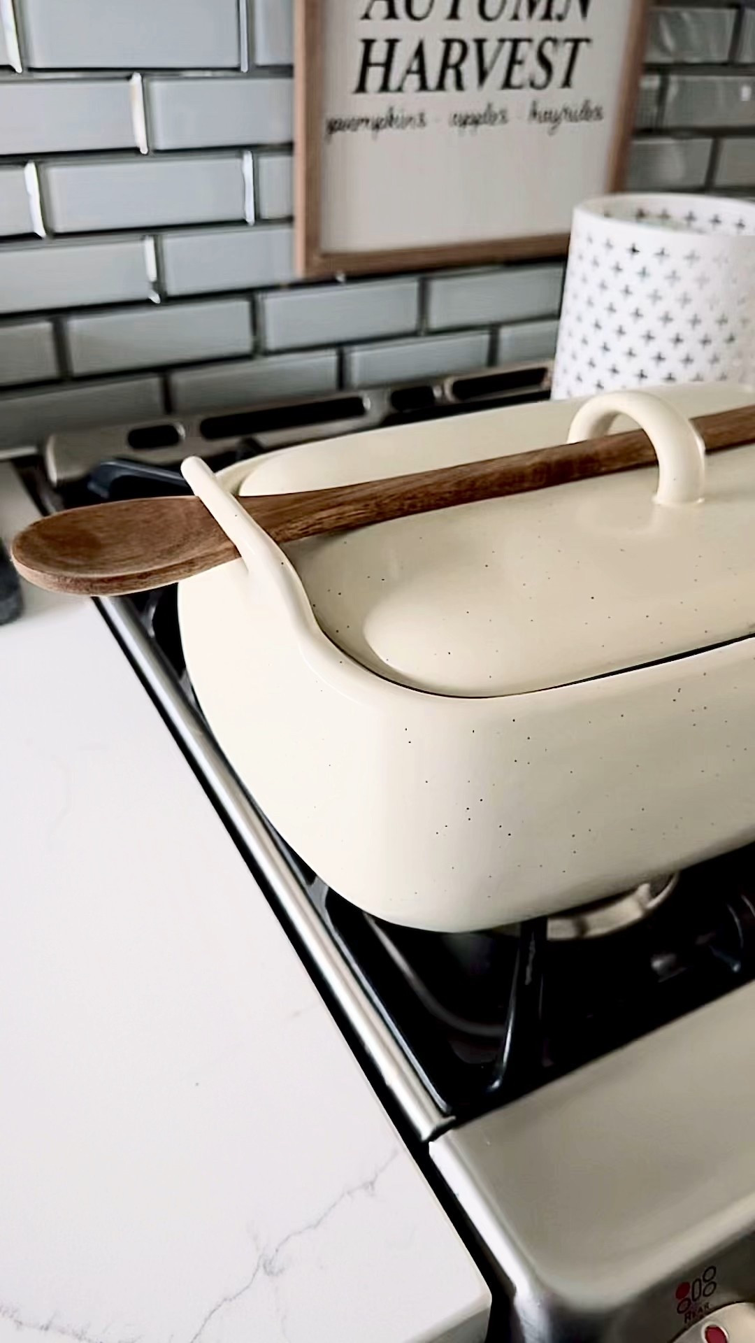 saltedrosestyle on LTK