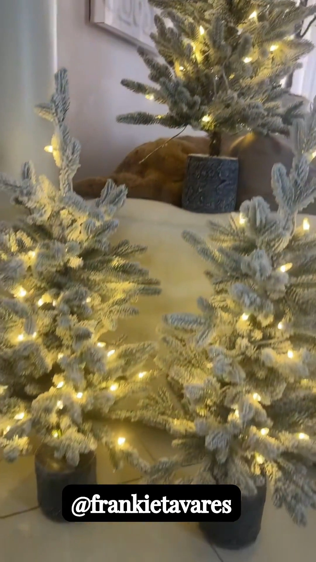 FrankieTavares on LTK