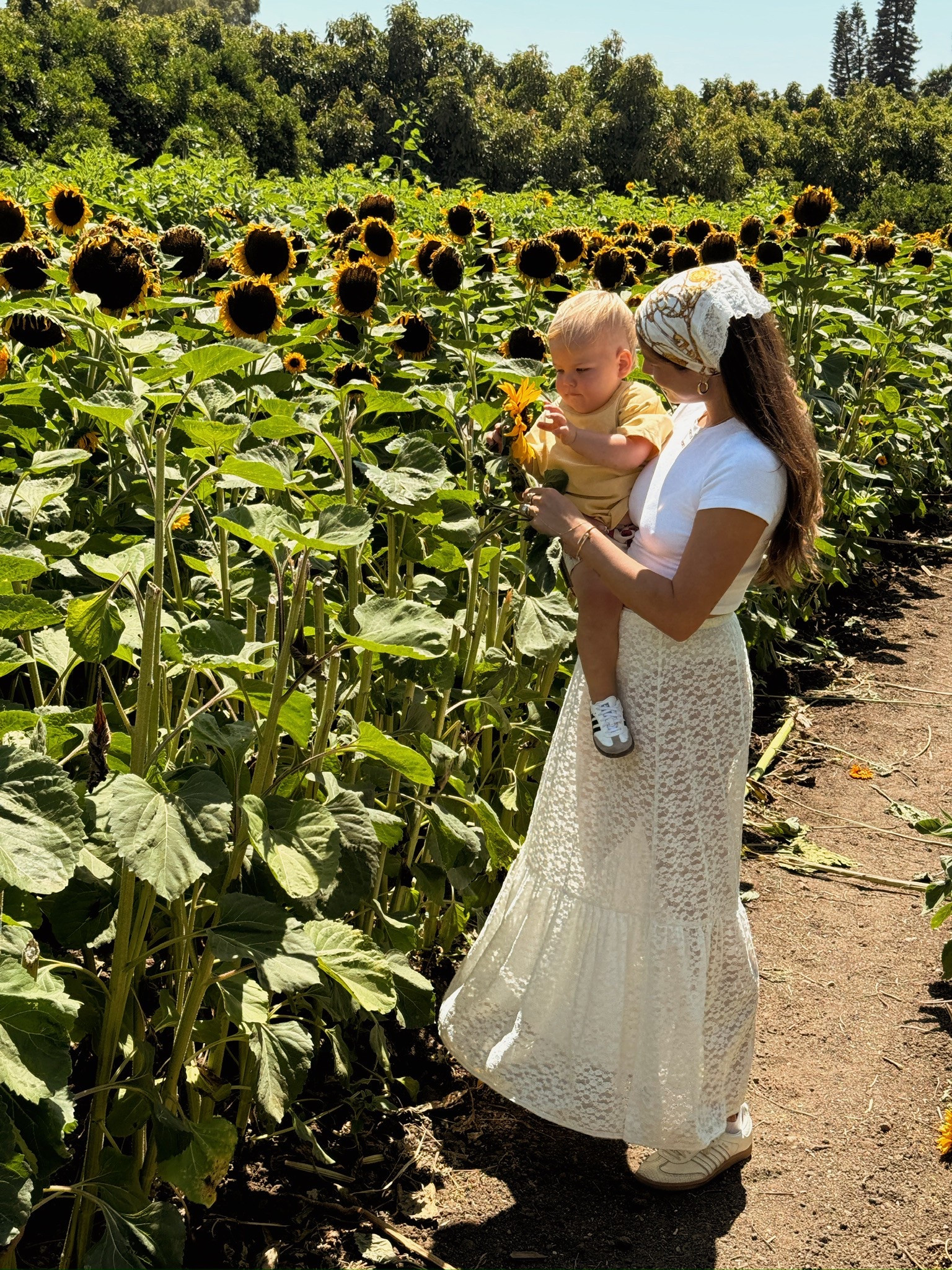 BASIC HEAVY WEIGHT T-SHIRT curated on LTK