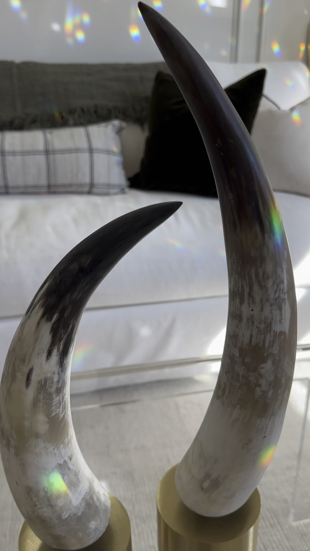 Daylon Horn Sculpture curated on LTK