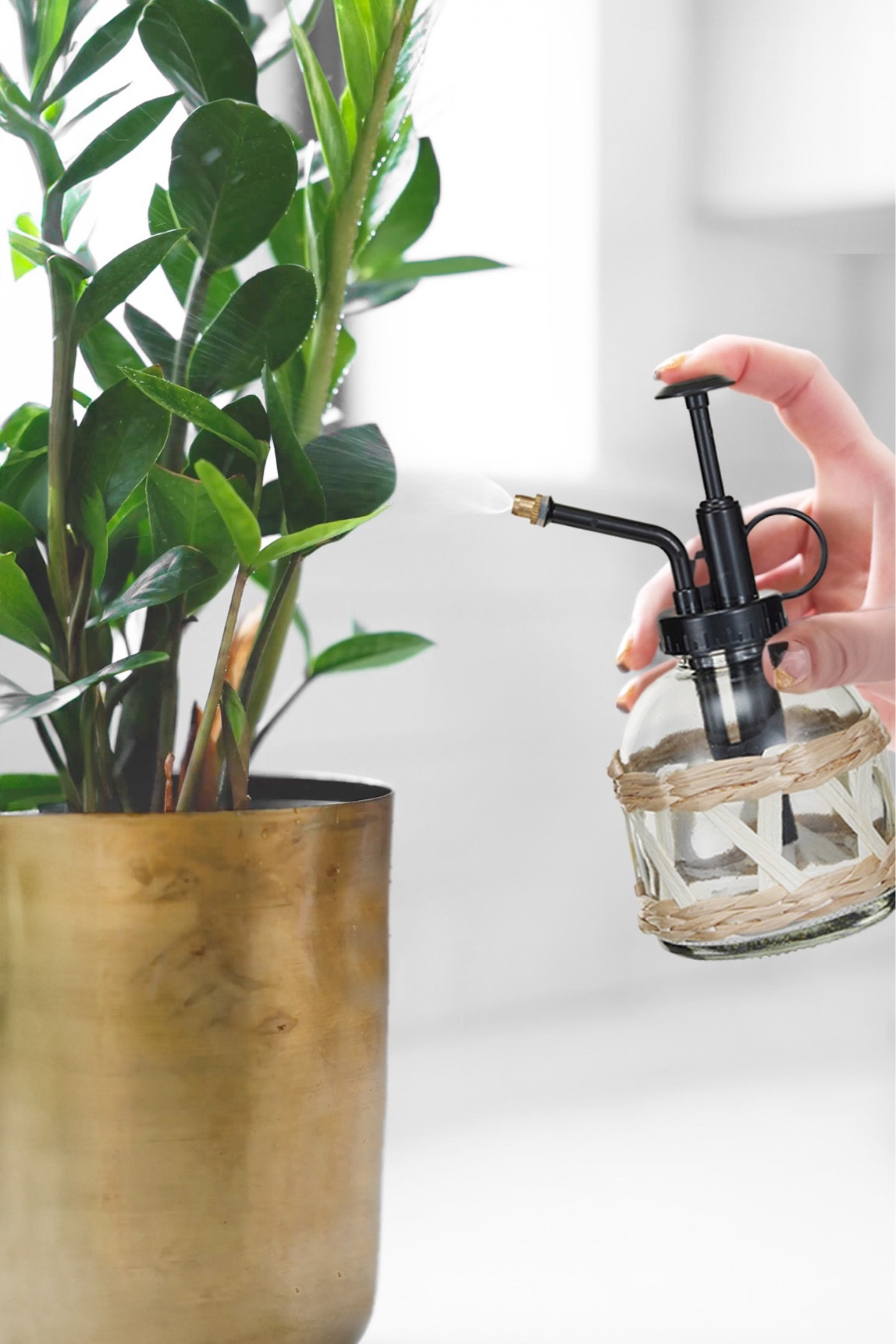 Glass Plant Mister curated on LTK