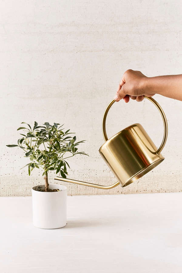 Home Tour: Endless Greenery — A Modern Urban Jungle Loft in Atlanta ...