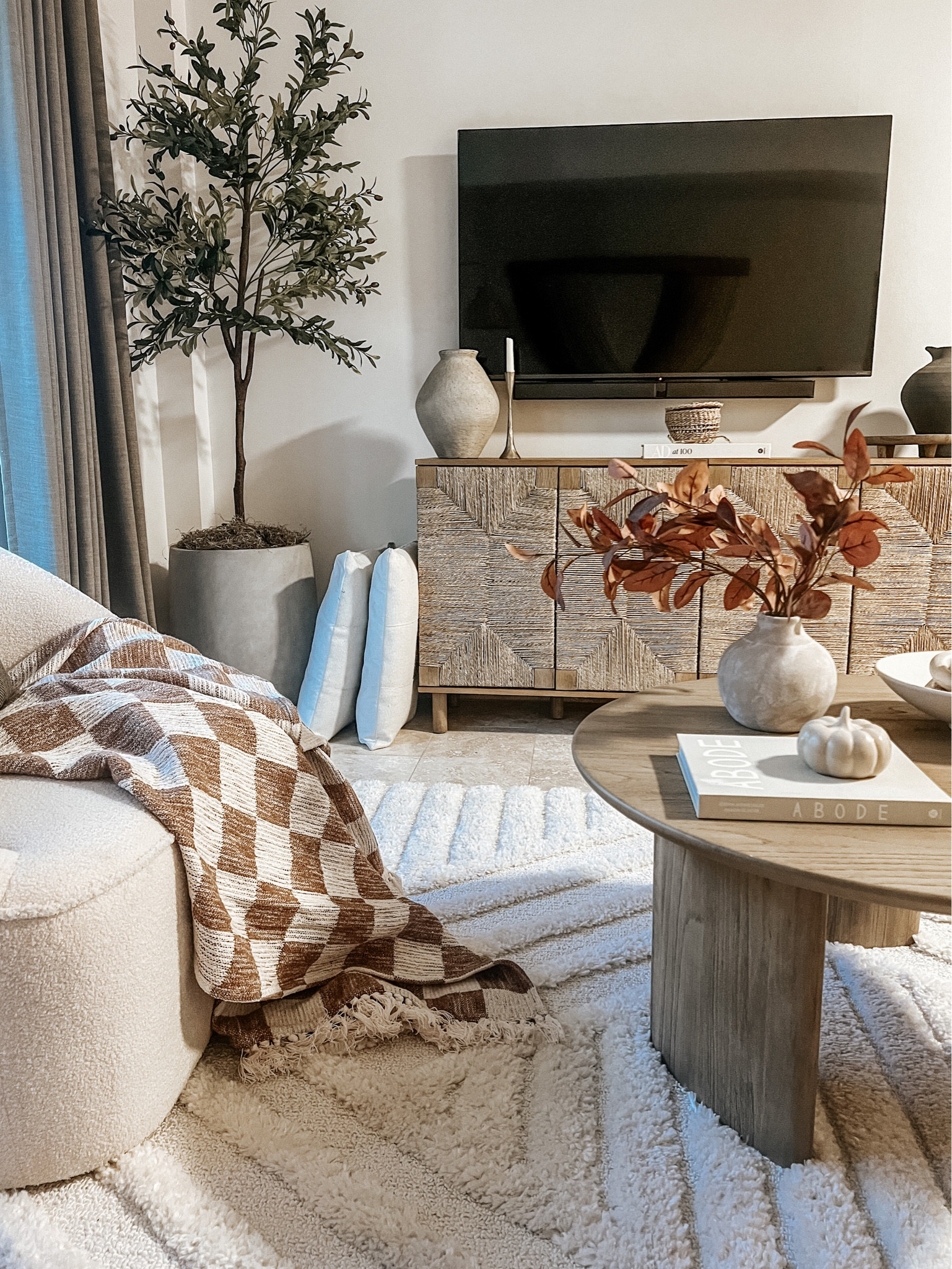 Beige Ellie Traverse Shag Area Rug curated on LTK