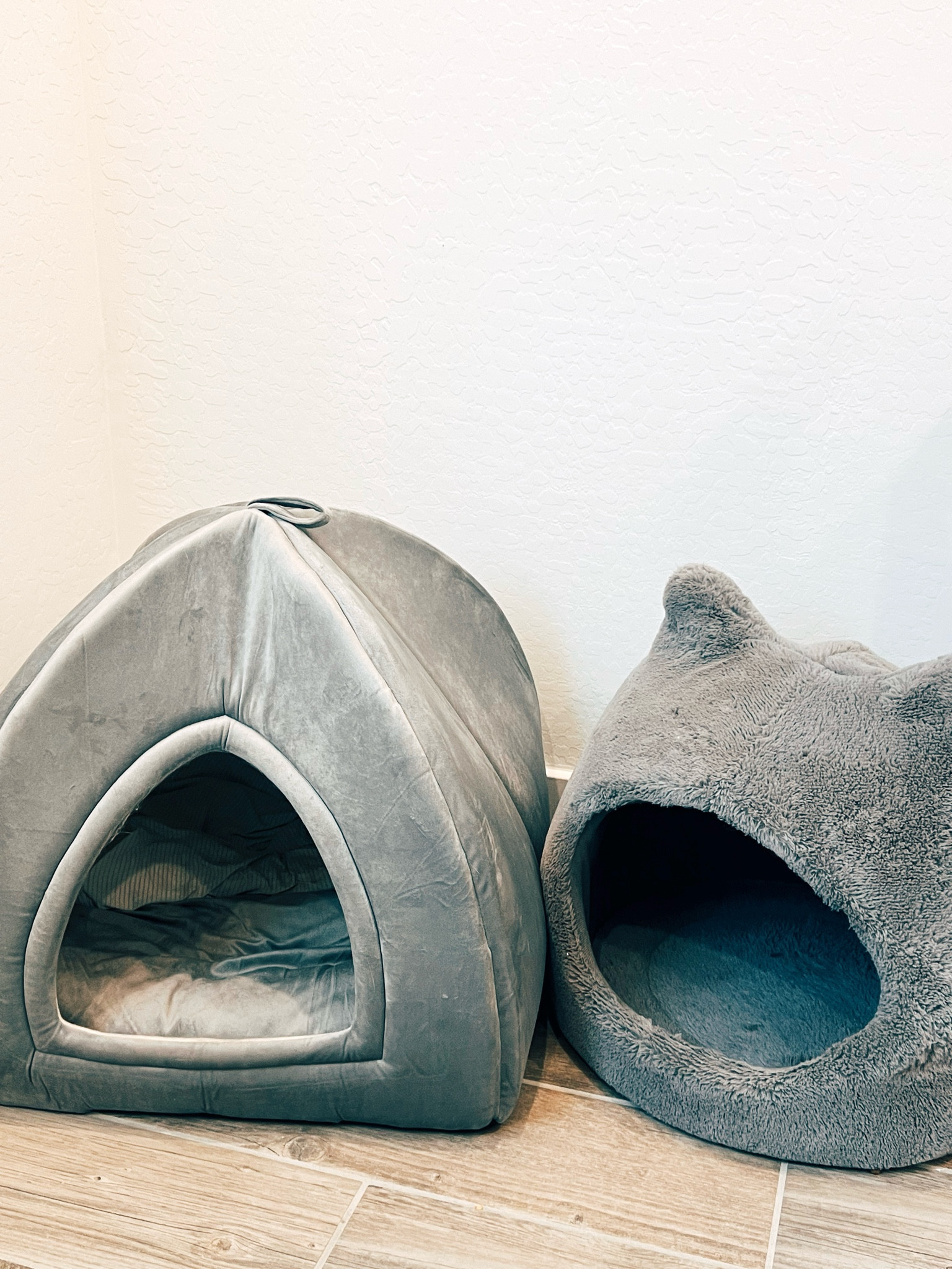 KASENTEX Cat Bed for Indoor Cats, … curated on LTK